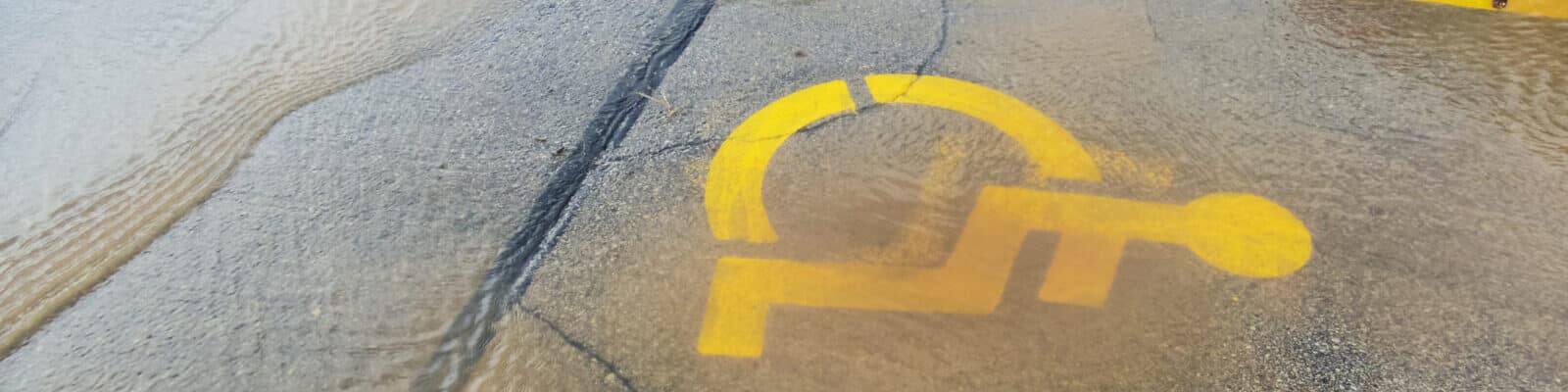 NGOs must ensure a disability-inclusive approach to climate action | Bond