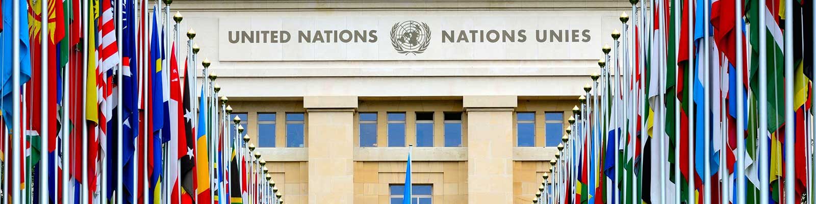 UK's influence at UN would be in freefall post-Brexit if not for 0.7% ...