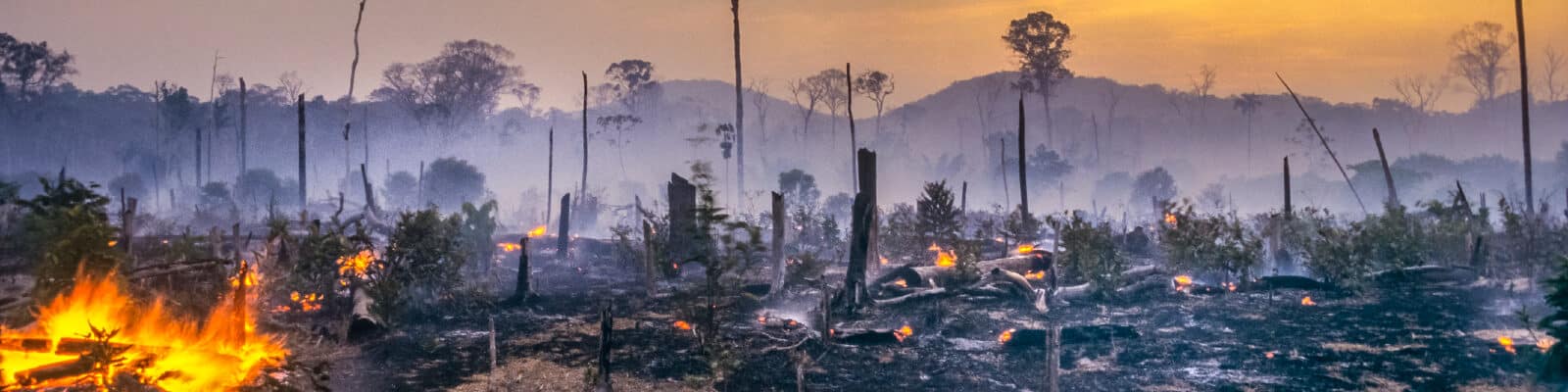 NGOs need to include Indigenous philosophies and values in humanitarian ...