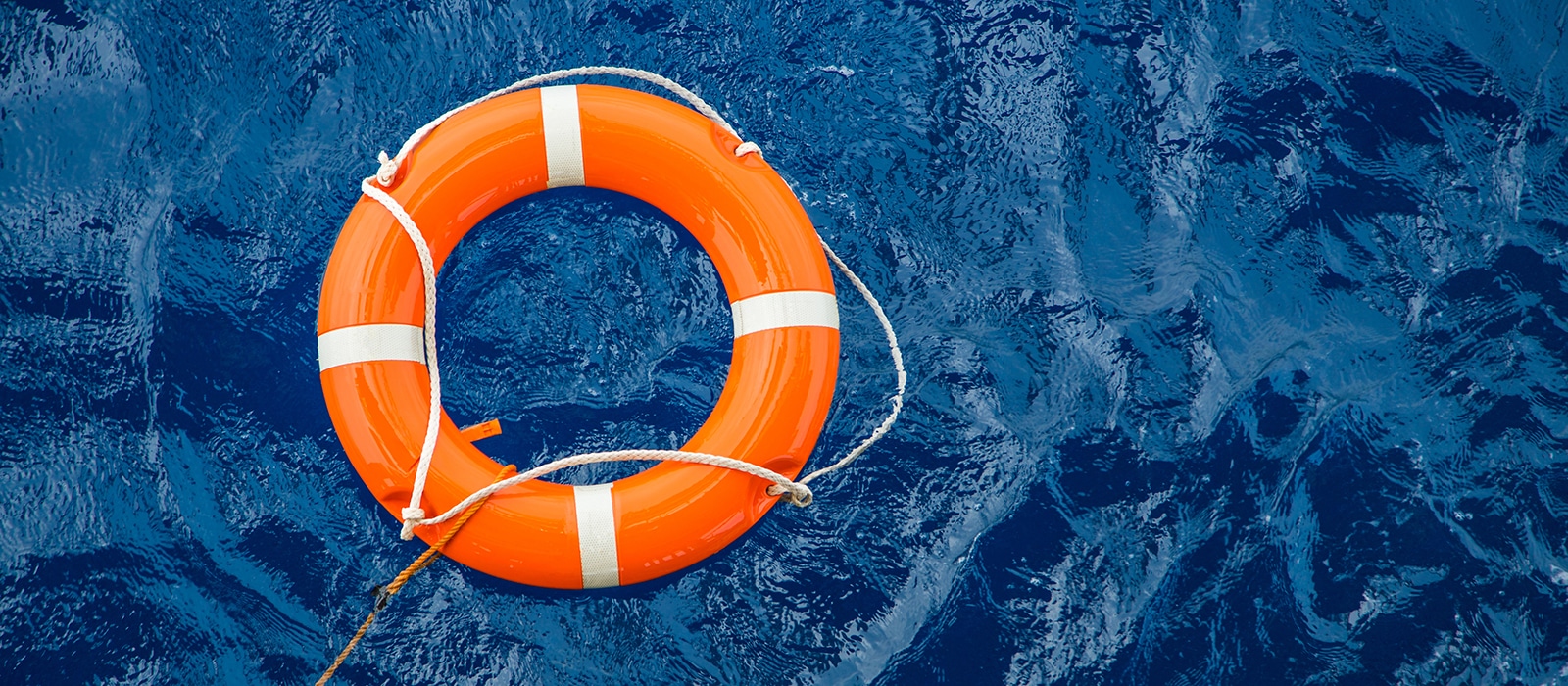 Safeguarding case studies | Bond