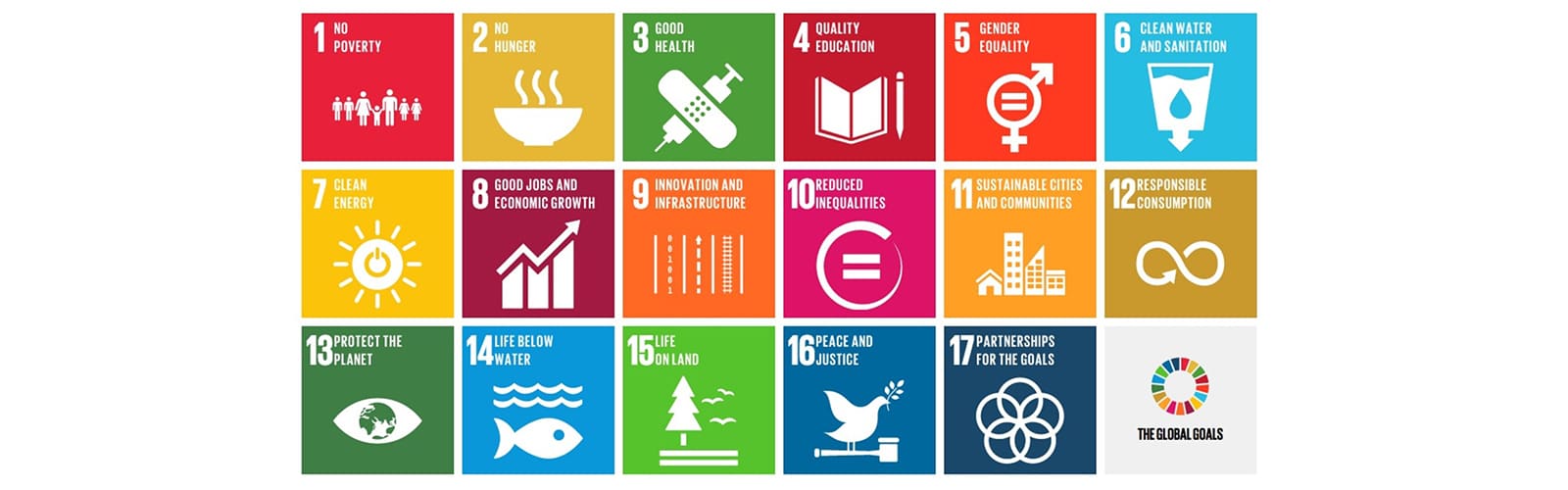 Building Back Better: SDGs as a roadmap for recovery | Bond