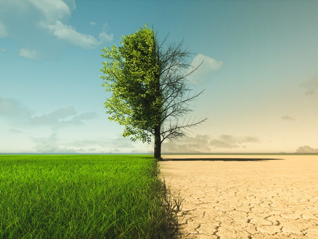 NGOs need to rethink how we talk about climate | Bond