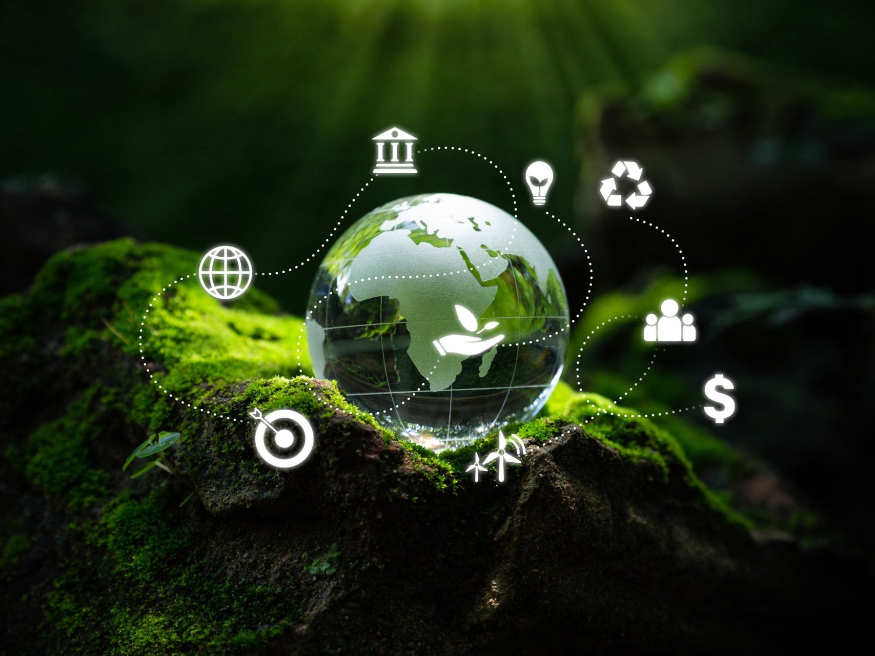 Four ways to reimagine public development banks to nurture more ...